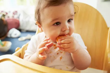 makanan pendamping-pada-bayi-berisiko-alergi