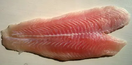 pangasius fillet