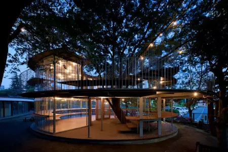 Ağacın ətrafı uşaq bağçası Zelkova Fuji Tezuka Architects 17