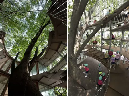 Детский сад вокруг дерева Zelkova Fuji Tezuka Architects 32