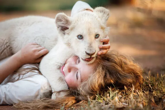 13 film da guardare con i bambini che promuovono l'amore e il rispetto per gli animali