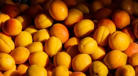 apricot