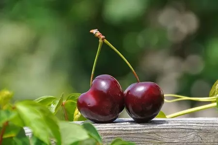 cherries-baby-abinci