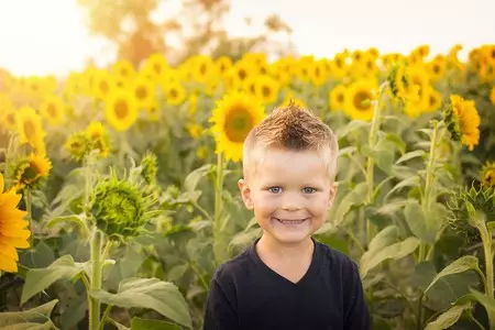 anak diantara sunflowers