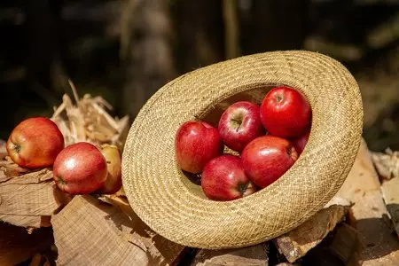 јаболко