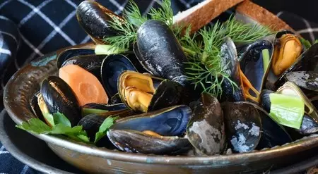 mussels