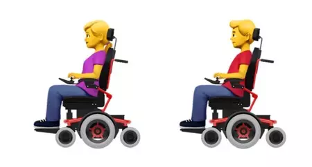 nous-emoji-discapacitat