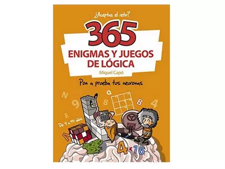 365 bulgur we logiki oýunlar