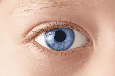 Oko dziecka w kolorze niebieskim