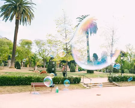 bubbles savony
