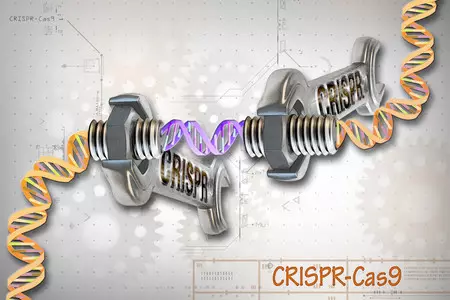 Crispr Cas9 Редагування геному 26453307604