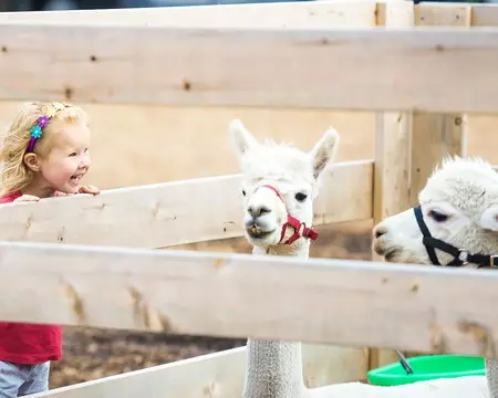 dívka na farmě