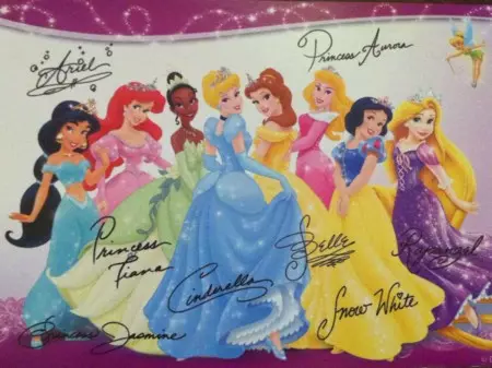 Hantekening Disney Prinsessen