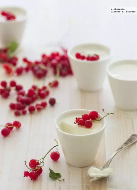 ribez panna cotta