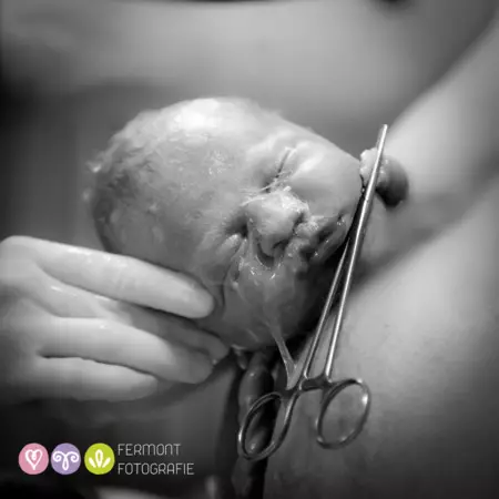 001 Head Born Fermont Photography