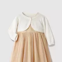 Plumetis Party Baby Dress