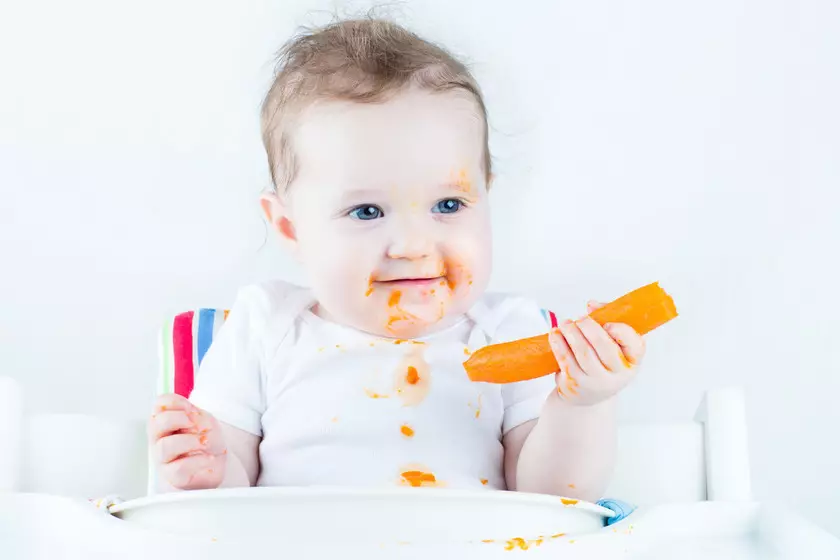 Seven Baby-led weaning items to promote autonomy in feeding your baby