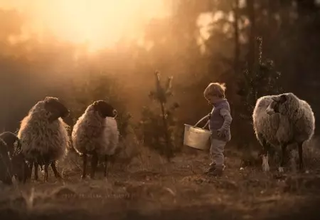 Shumilova 5