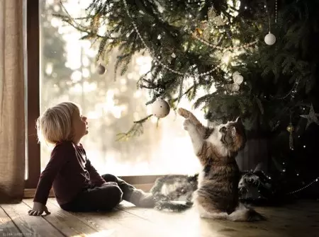 Shumilova7