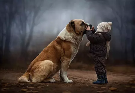 Shumilova 1