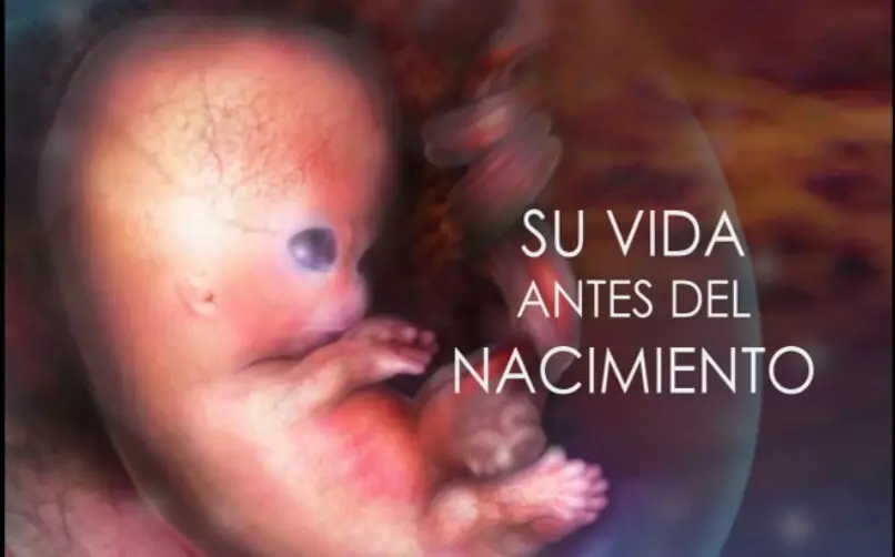 Spectacular video about the life of the baby before birth with real images