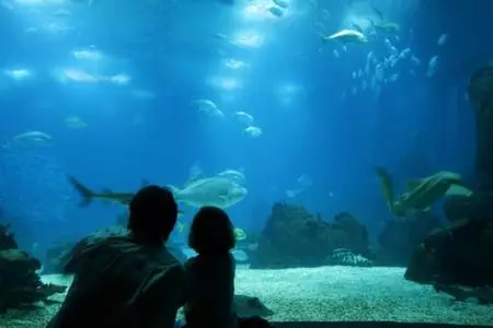 Oceanarium Lissabon kinderen