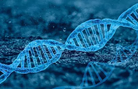 karyotype studie