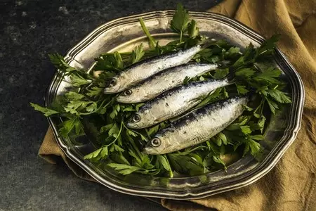 sardinina