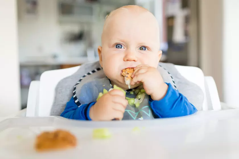 Como prevenir a deficiência de ferro em bebês alimentados com Baby Led Weaning