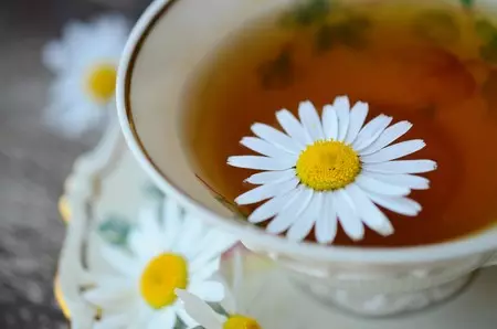 Chamomile 829487 1920