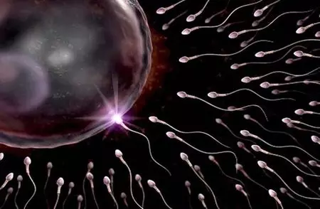 Cé mhéad uair a chaithfidh tú grá a dhéanamh le bheith ag iompar clainne: sperm