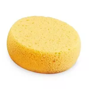 7-sponge.jpg