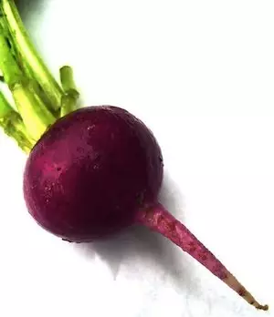 beet