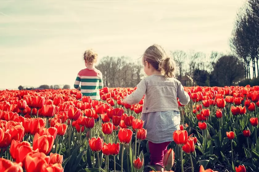 Der Kontakt mit der Natur ist gut zum Lernen: Schlüssel für Kinder, um die Bildschirme zu verlassen und ins Freie zu gehen