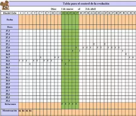 My vrugbare dae: praktiese voorbeeld om die basale temperatuurtabel te interpreteer