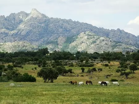 la pedriza, madrid