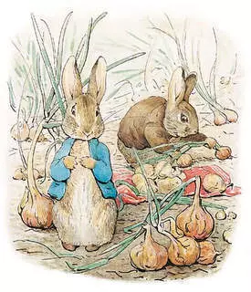 peter-rabbit-onions.jpg