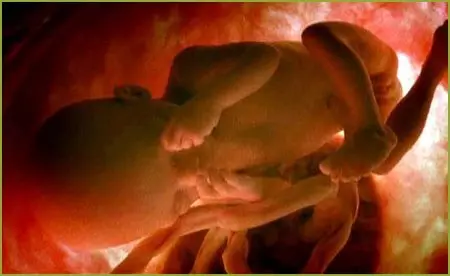 pagmabdos matag semana nga mga larawan: 22 ka semana nga fetus