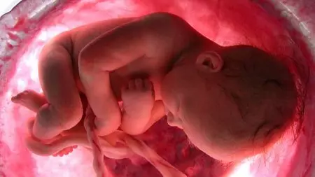 Schwangerschaftsbilder von Woche zu Woche: 36-wöchiges Baby