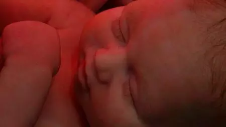 swangerskip wike foar wike pictures: 40 wike baby