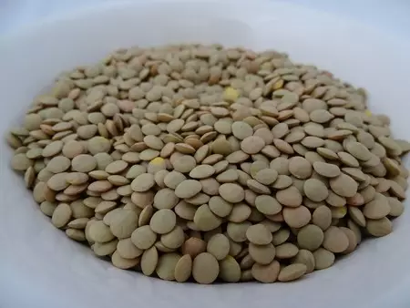 Lentils