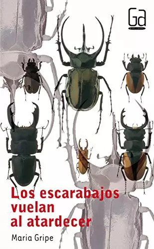 Kumbang ngapung nalika Panonpoé Tilelep: 31 (Sudut Lebar)
