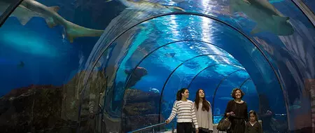Барселона аквариум