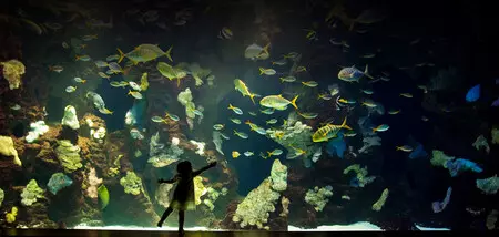 I-Donostia Aquarium