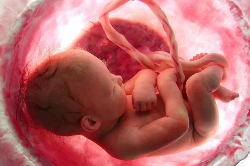 La placenta è un deposito di difetti genetici che aiuta il bambino a correggerli o evitarli