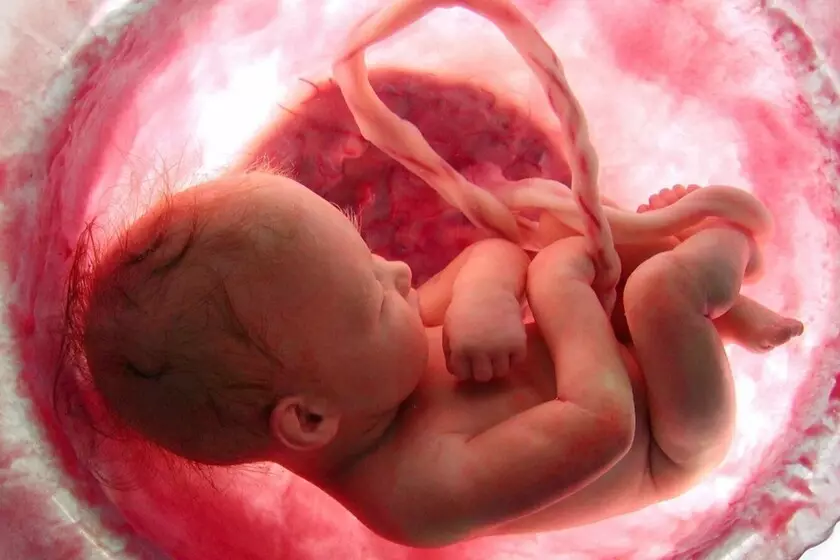 La placenta protegge il bambino dal Covid, anche se la madre subisce una grave infezione durante la gravidanza