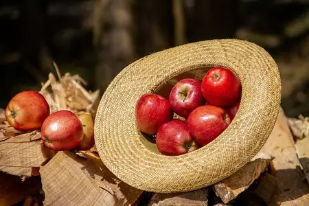 Apfel