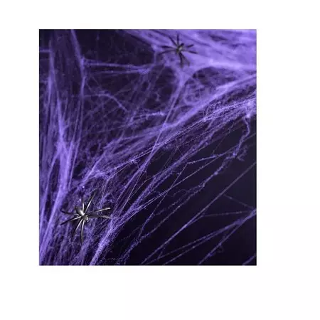 toile d'araignée violette