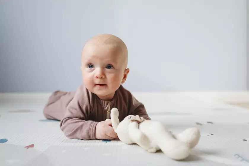 Verden gennem babys øjne: på fire måneder er de allerede i stand til at klassificere genstande