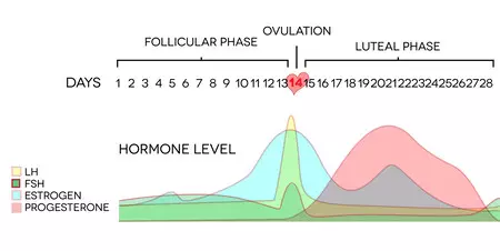 luteal-wajiga-caadada-wareegga